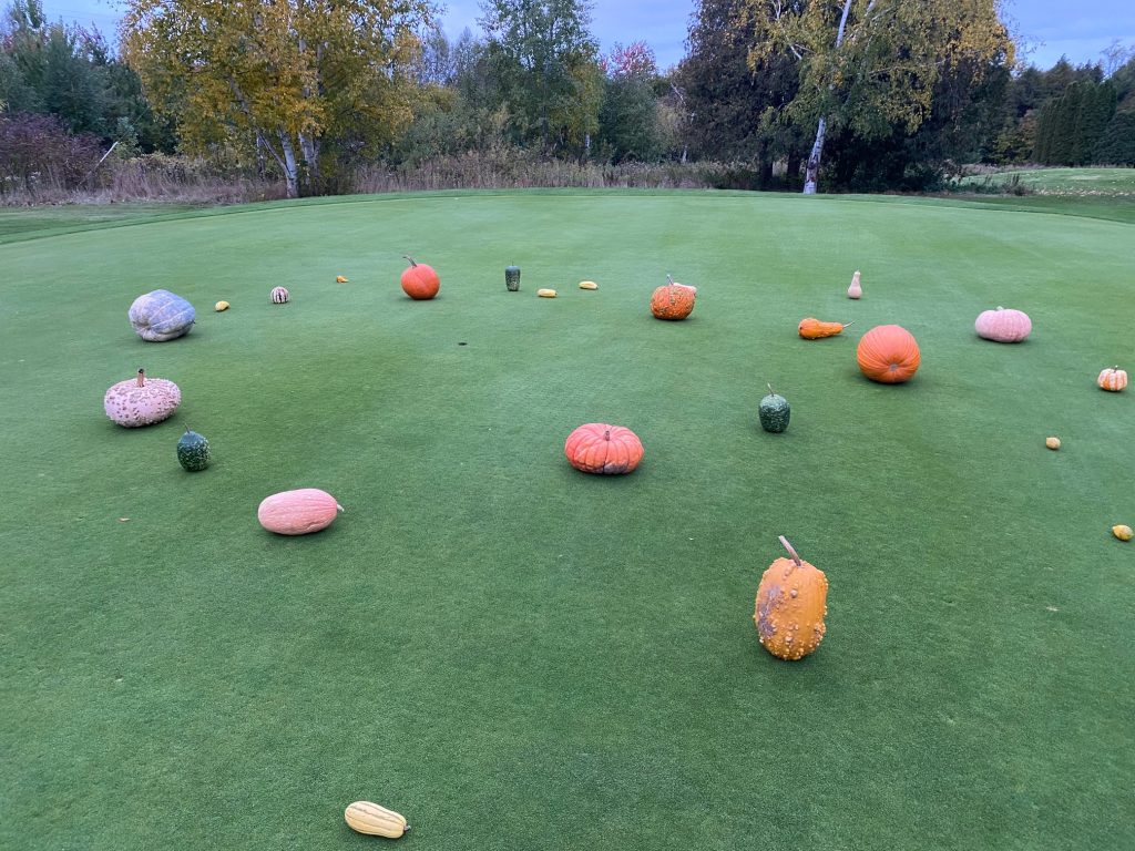 2023 Great Pumpkin Open - Oceana